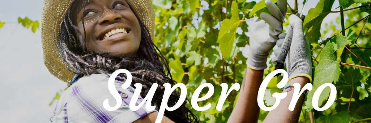 Super Gro | NeoLife - yourday2day